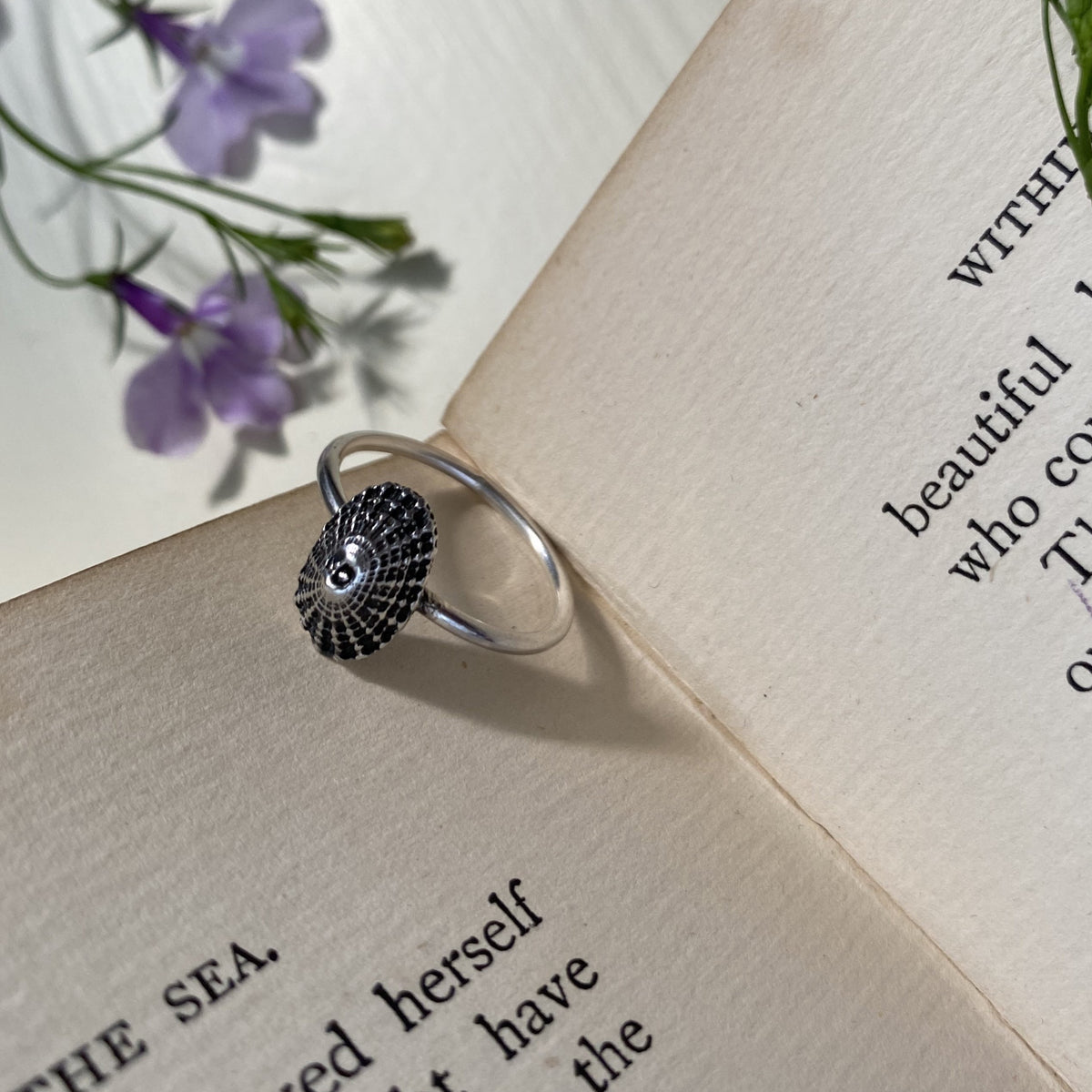 Sterling Silver Limpet Shell Ring – Hannah Kyriakou Design